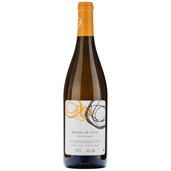 Agnès & René Mosse + Magic of Juju